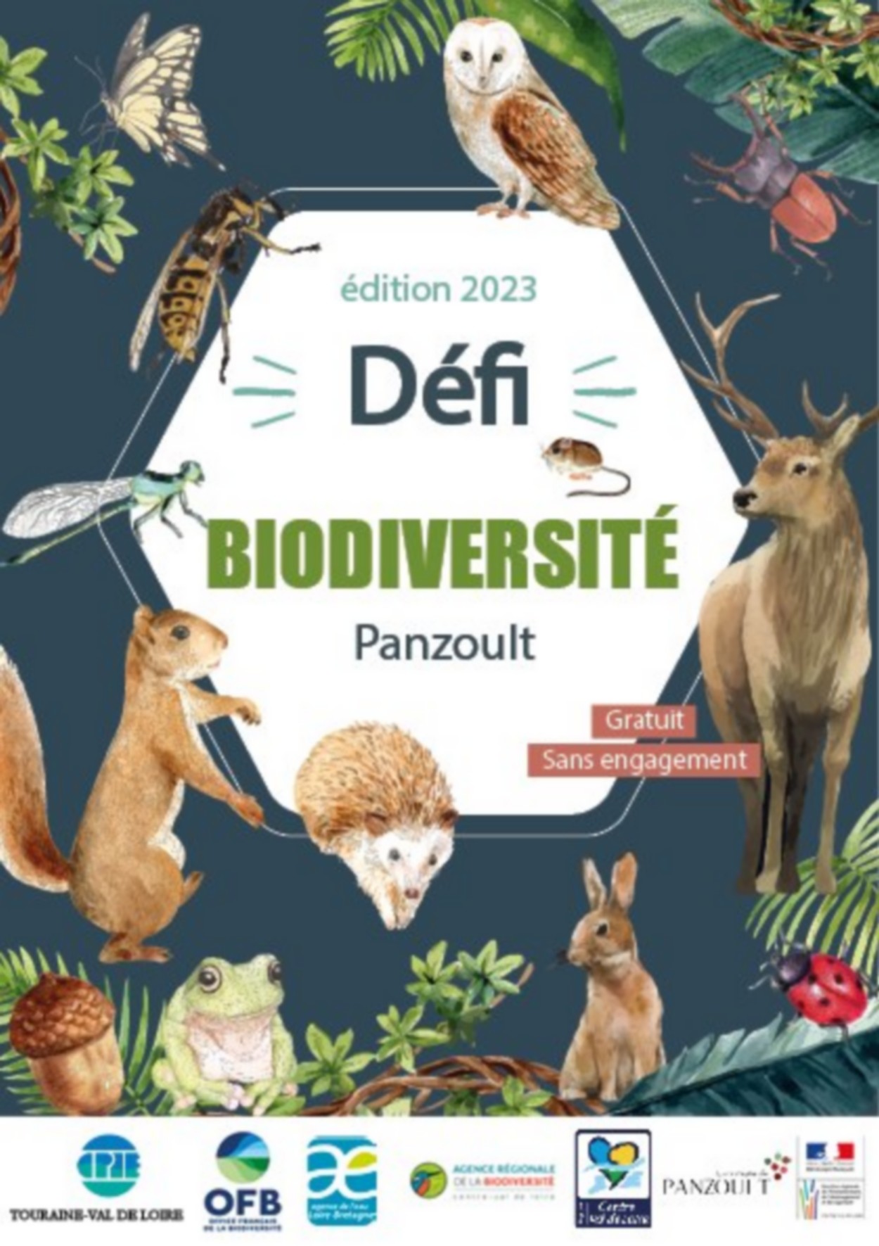Défi citoyen pour la biodiversité à Panzoult (37) - Découverte des espèces rares et/ou ...